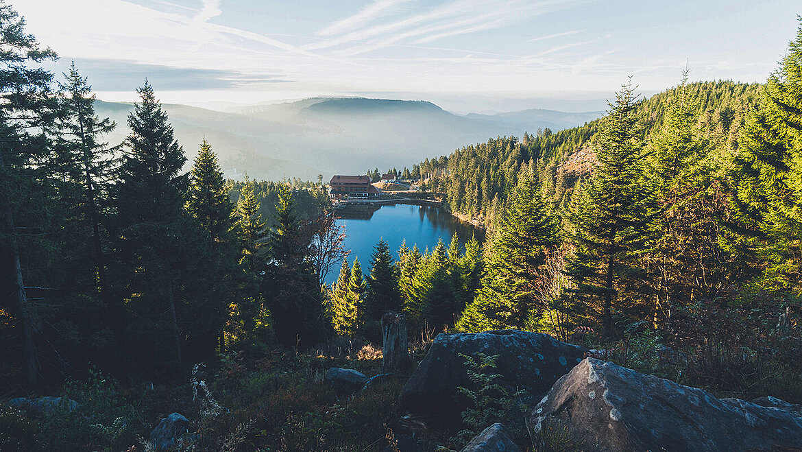 Career | Herrmann Ultraschall